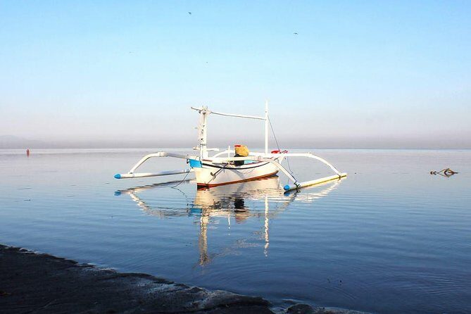 Sunrise Dolphin Wacthing & Menjangan Island Snorkeling Day Trip - A Complete Guide to the Sunrise Dolphin Watching & Menjangan Island Snorkeling Tour