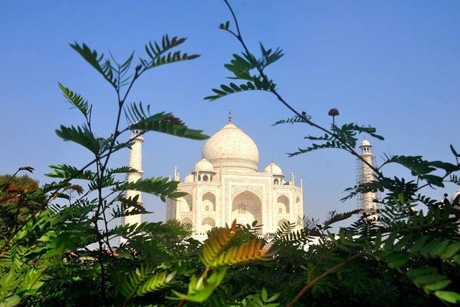 Sunrise Taj Mahal Tour by Car from Delhi - Transport and Logistics