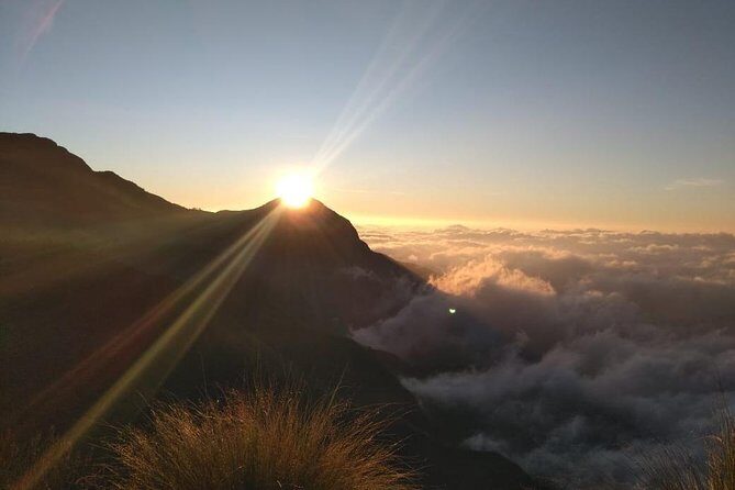 Sunrise Tour in Top Station, Munnar ( By Munnar Info) - What To Expect from the Experience