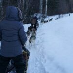 Sunset and Full Moon or Extended Ridge Top Mush - A Deeper Look into the Fairbanks Dog Sledding Adventure
