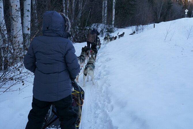 Sunset and Full Moon or Extended Ridge Top Mush - A Deeper Look into the Fairbanks Dog Sledding Adventure