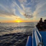 Sunset and Plankton Snorkeling by Speedboat from Phi Phi Don - What’s Included and What’s Not