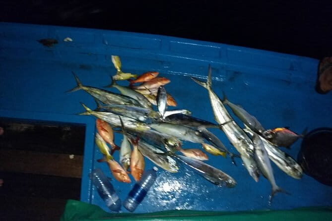 Sunset Cruise and Night Fishing in Dhiffushi - What Makes This Tour Stand Out