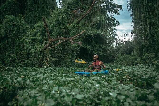 Sunset Kayaking in Hidden Alleppey Backwater Routes - Setting the Scene: What to Expect