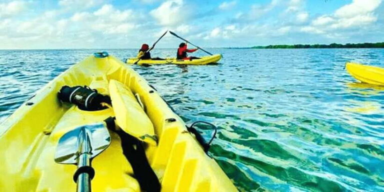 Sunset Kayaking in Negombo - The Value of the Experience