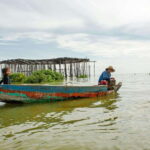 Sunset Over the Tonle Sap Lake and Visit Floating Village - Real Feedback from Travelers