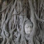 Sunset Sail, Glittering Tempels at Afternoon Ayutthaya Tours - What Travelers Are Saying