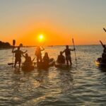 Sunset toast and bioluminescence in clear kayak - The Practical Details: What to Expect