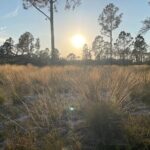 Sunset Trail Ride and Campfire Experience at Rock Springs - What Past Participants Say