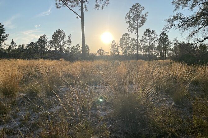 Sunset Trail Ride and Campfire Experience at Rock Springs - What Past Participants Say