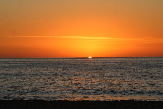 Sunset Whale Cruise in Cabo San Lucas - Who Should Consider This Tour?