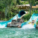 Sunway Lagoon One-Day Admission (With & Without Transfer) - Itinerary Deep Dive
