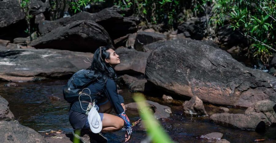 Suoi Tien 1-Day Trekking: Phu Quoc Excursion - The Picnic Lunch: A Culinary Highlight