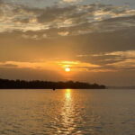 SUP in Kochi: Sunrise Stand-Up Paddleboarding Tour - What Makes This Tour Stand Out?