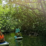SUP Tour in Mangrove Forest of Koh Rong Sanloem - Why This Tour Is Worth Considering