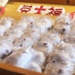 Super Sugamo Local Foodie Adventure - The Value of This Food Tour