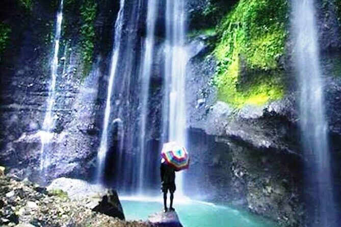 Surabaya-Bromo-Ijen blue fire-Bali, All Entrance Included, 2N3D - Who Should Consider This Tour?