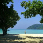 Surin Island Snorkeling by Speedboat from Khao Lak - What to Expect on Your Day