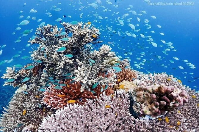 Surin Islands Overnight Beach Camping and Snorkeling Adventure - What’s Included and What’s Not