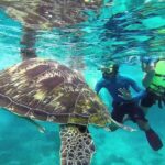 Surin Islands Snorkeling Trip from Phuket - Why This Tour Stands Out: Key Highlights