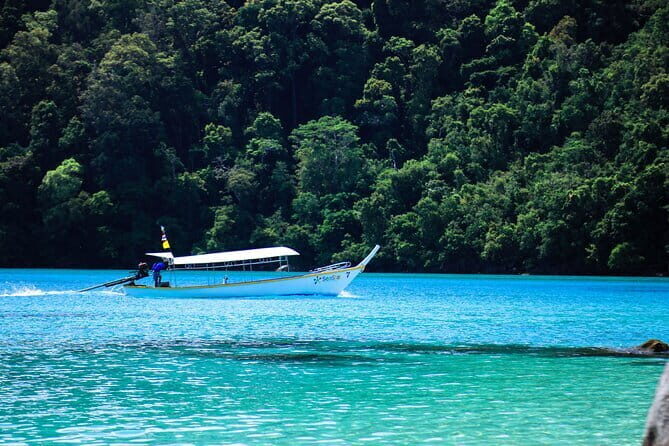 Surin Islands Tours by Speedboat - Authentic Experiences & Customer Feedback
