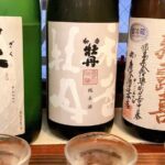 Sushi Making and Sake Tasting Experience - Who Will Get the Most Out of This Tour?
