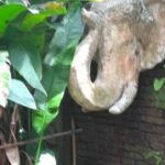 Suthep Temple and Monthathan Waterfall Adventure Trail From Chiang Mai - What Travelers Say About This Tour