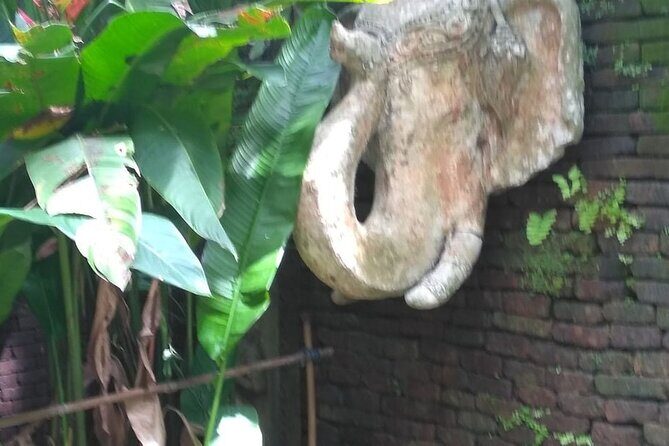 Suthep Temple and Monthathan Waterfall Adventure Trail From Chiang Mai - What Travelers Say About This Tour