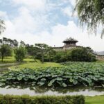 Suwon Hwaseong Fortress Tour from Seoul - Guides and Authentic Experiences