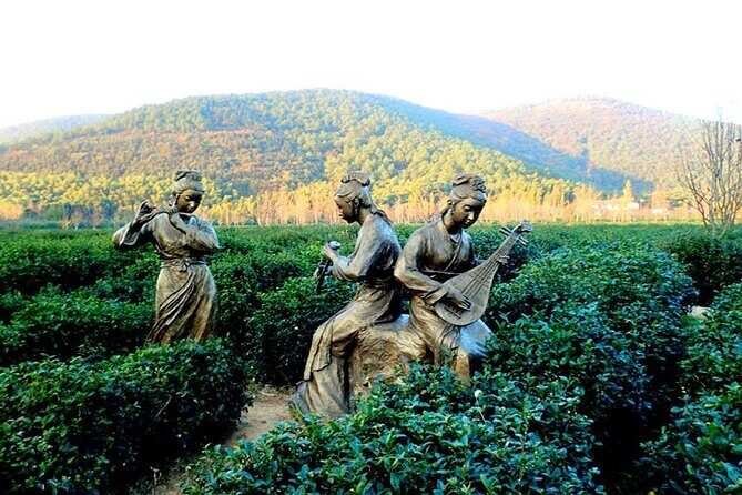 Suzhou Eco Village Private Day Tour with Lunch and Fruit Picking Option - Why This Tour Offers Great Value