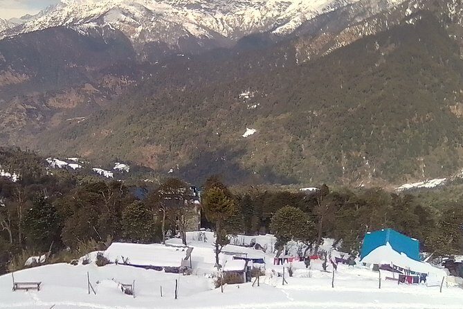 Sweet and Memorable 4 Mohorai Hill Trek Via Poon Hill - Why This Trek Stands Out