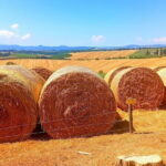 "Sweet Hills of Chianti & San Gimignano" with Lunch & 2 Tastings - The Practicalities: Comfort, Value, and Flexibility