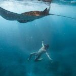 Swim with Manta Rays in Nusa Penida - ALL inclusive - Final Thoughts