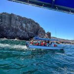 Swim with Sea Lions in La Paz - Who Should Book This Tour?