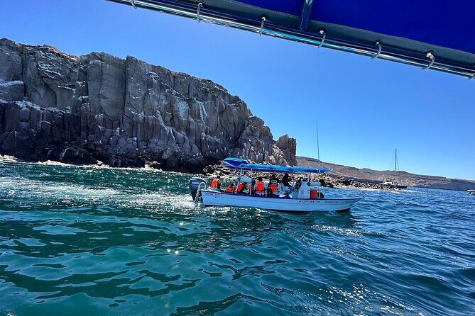 Swim with Sea Lions in La Paz - Who Should Book This Tour?