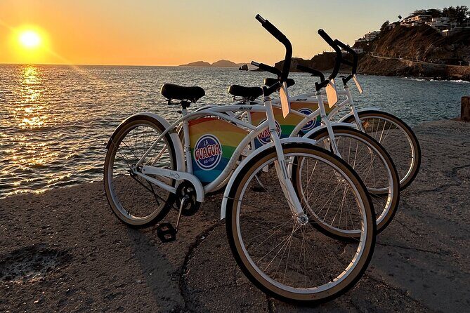 Taco Bike Tour in Mazatlan - Who Should Consider This Tour
