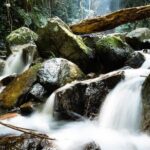 Tai Mo Shan Waterfall Adventure Hike - Authentic Experiences and Practical Details