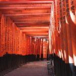 Tailored Full Day Private Experience of Kyoto for 1 Day Visitors - Final Thoughts: Is This Tour Right for You?