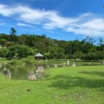 Tainan Ancient Capital & Wushantou Reservoir One Day Tour - Strolling through Old Street: Tainan’s Living Heritage