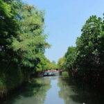 Tainan: Sicao Green Tunnel Scenic Boat Ride - Why This Tour Matters