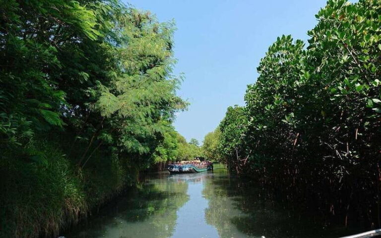Tainan: Sicao Green Tunnel Scenic Boat Ride - Why This Tour Matters