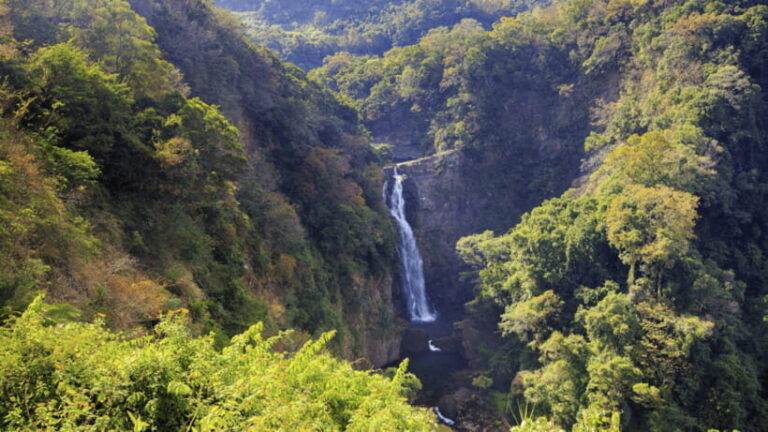 Taipei: Daxi Old Street and Tea Factory, Xiaowulai Day Tour - What’s Included and What’s Not