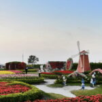 Taipei-Taichung-Taipei Private day trip - The Sum Up