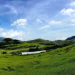 Taipei: Yangmingshan National Park Half-Day Tour - The Value and Practicalities