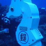 Taiwan Green Island Discovery Inner Space Experience Diving - The Value of This Tour