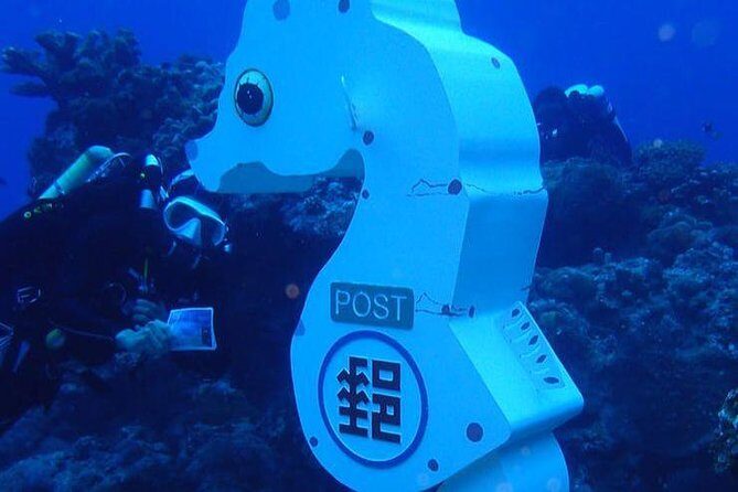 Taiwan Green Island Discovery Inner Space Experience Diving - The Value of This Tour