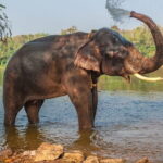 Taj Mahal and SOS park tour with Fatehpur Sikri visit - Who Should Consider This Tour?