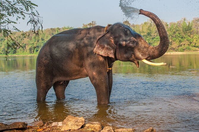 Taj Mahal and SOS park tour with Fatehpur Sikri visit - Who Should Consider This Tour?