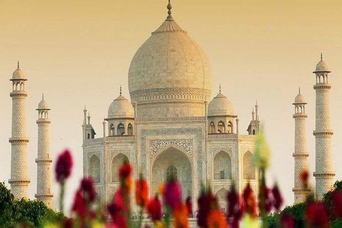 Taj Mahal Tour by Train with Lunch at 5 Star Hotel - Who Is This Tour For?