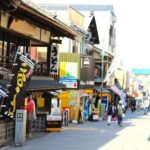 Takamatsu Half-Day Private Tour with Government-Licensed Guide - In-Depth Look at the Itinerary